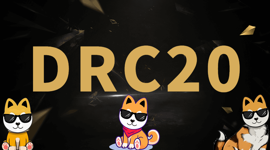 Based on Dogecoin’s Doginals Inscriptions, DRC20 Will Become the New Hotspot in the ...