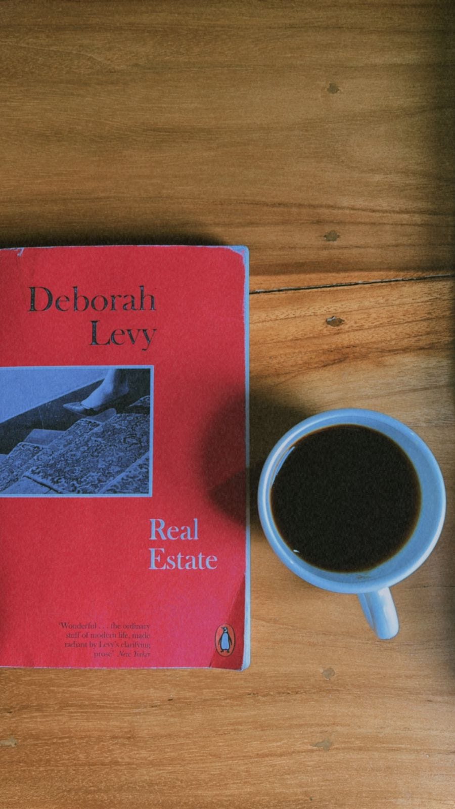 Writing on. Book Review- Real Estate by Deborah Levy. | by Megha ...
