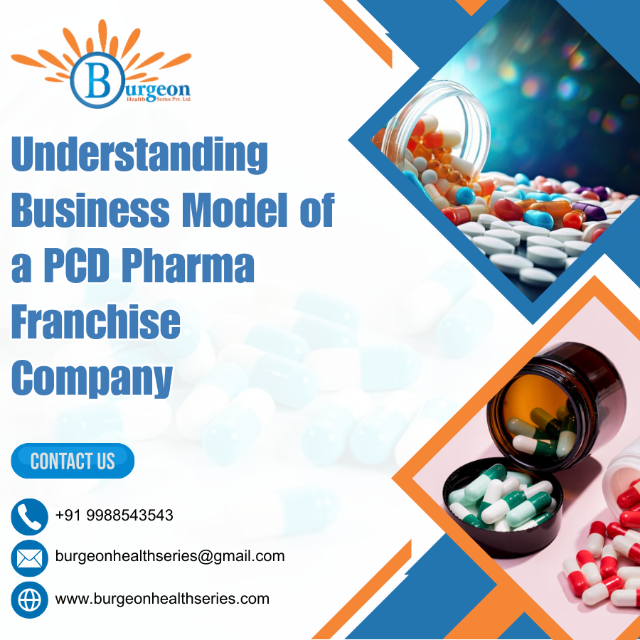 Understanding Business Model of a PCD Pharma Franchise Company | by ...