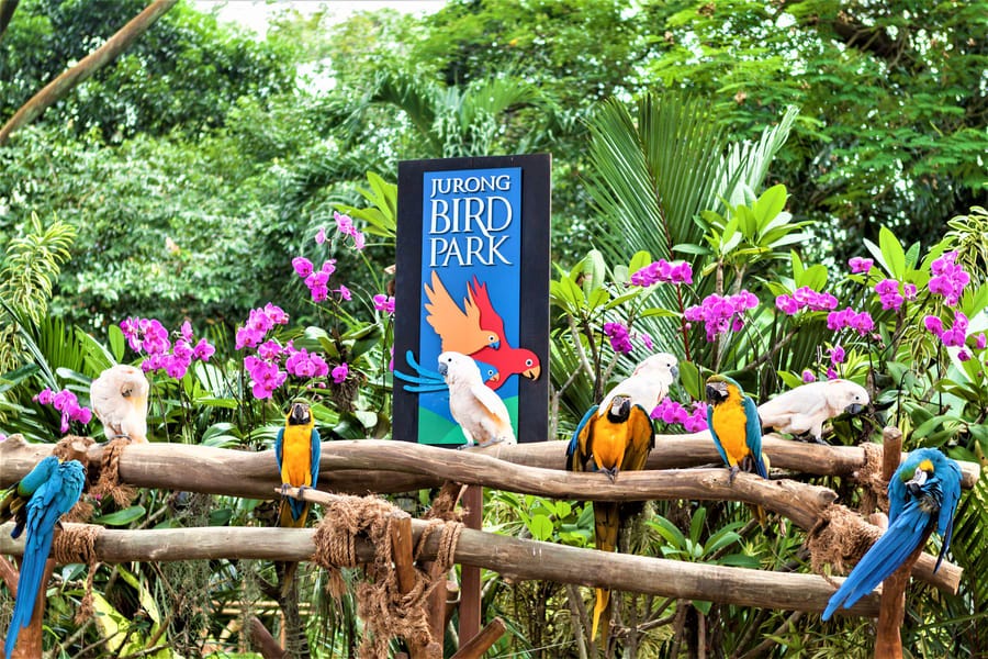Singapore Zoo Bird Park