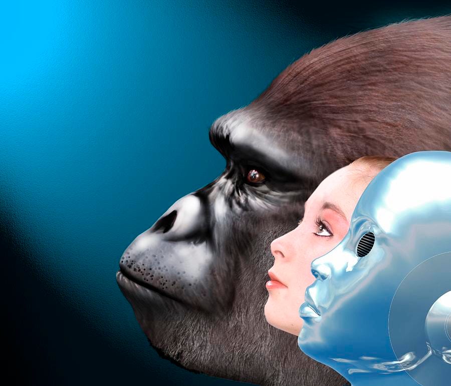 Defining Intelligence | by Mei Chao | Medium