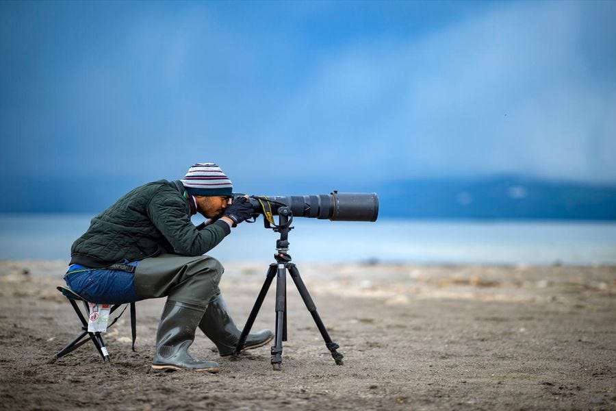 Capturing Moments: The Role of Professional Photographers | by Kalpana ...