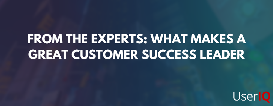 From the Experts: What Makes a Great Customer Success Leader | by ...