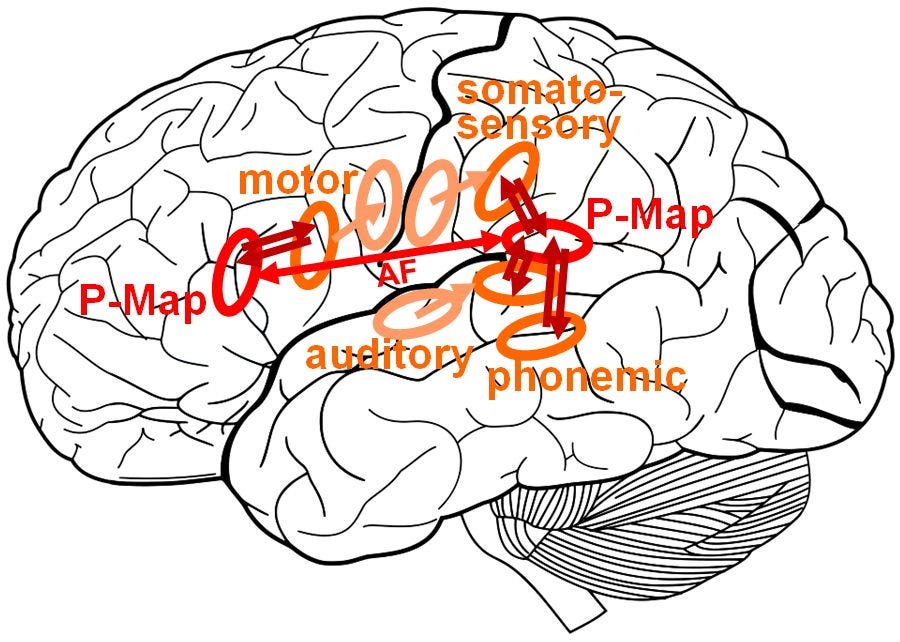 Synthesis. Learning effectively is a little… | by Casey J. Parker | Medium