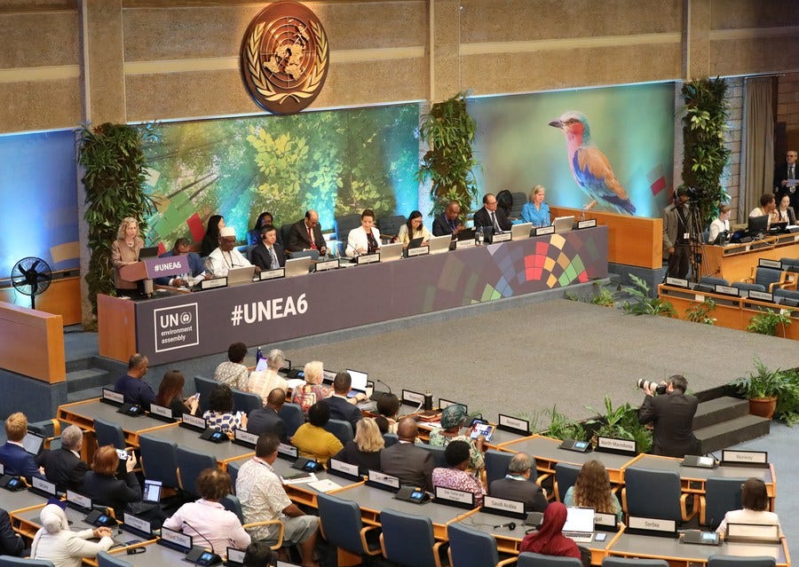 The Global Call for Multilateral Action at UNEA-6 | by Chloe Wilson | Oct, 2024 | Medium