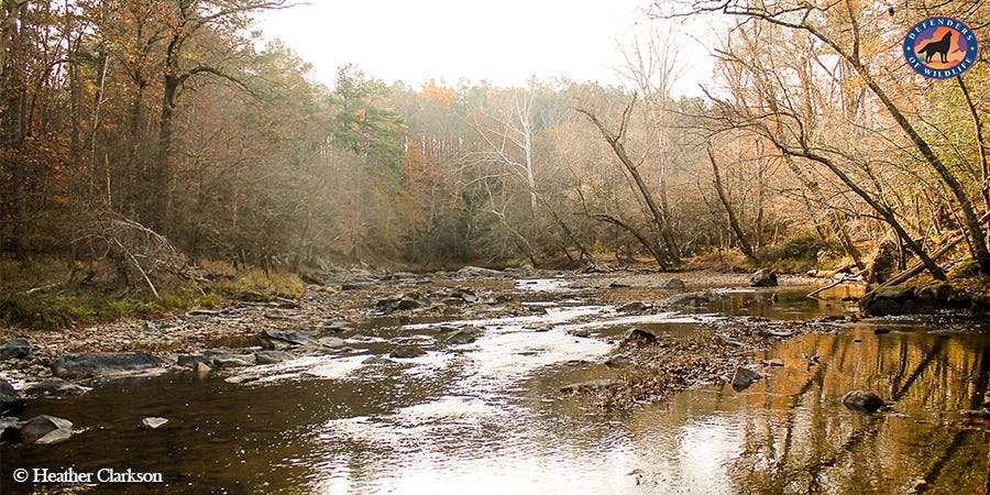 Giving Thanks for Clean Water. As we approach Thanksgiving in the… | by ...