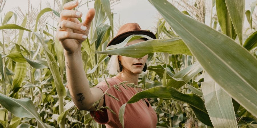 What is collagen clothing and is it for real? | by Glotrition | Medium