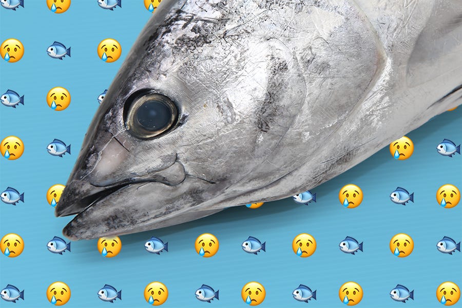 Even the Fish Are Depressed Now. The good, the bad and the ugly things ...