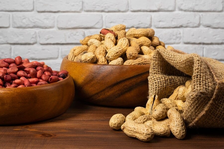 How to Choose the Best Peanuts Wholesaler in India by ( Euro sun india ...