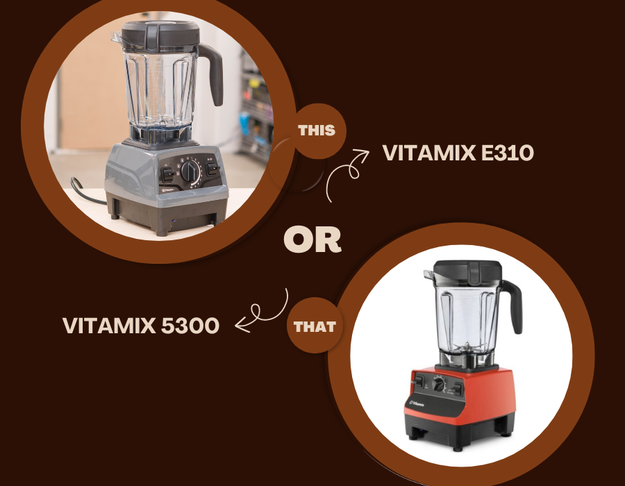 Vitamix E310 vs. 5300: Which Blender is Right for You? | by Pamela Kathryn | Aug, 2024 | Medium