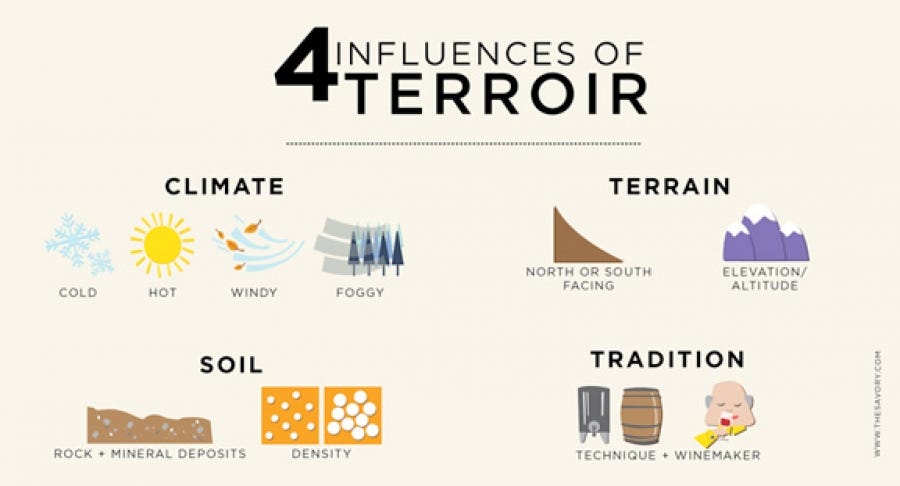 Does Water Have Terroir? A Taste of Nature in Every Sip | by Divina ...
