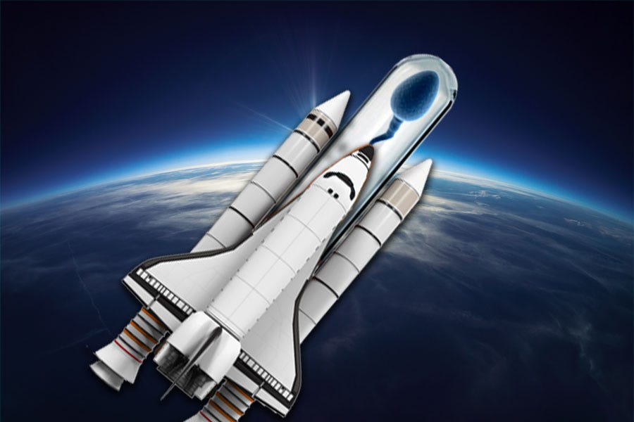 Why NASA Just Rocketed Human Sperm into Space | by Ian Lecklitner | MEL ...