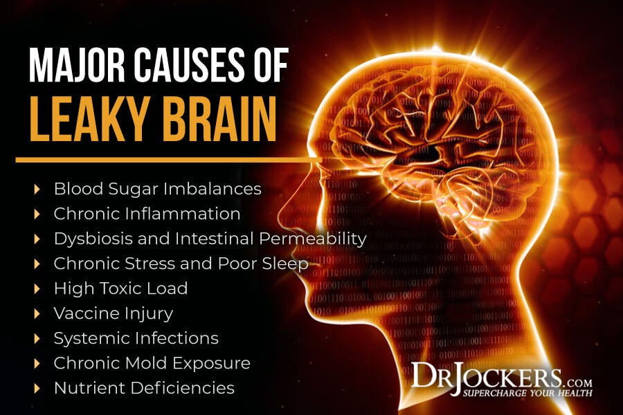 **Understanding Leaky Brain Syndrome** Leaky Brain Syndrome, also known ...