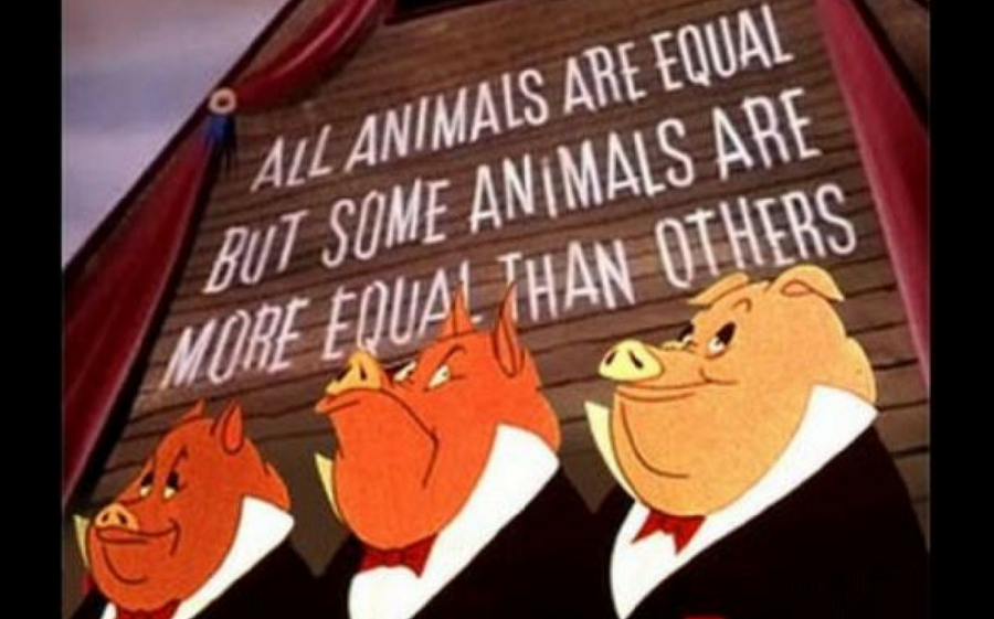 The Animal Farm — Millionaire Maker Strategy & 2 AMA Highlights | by ...