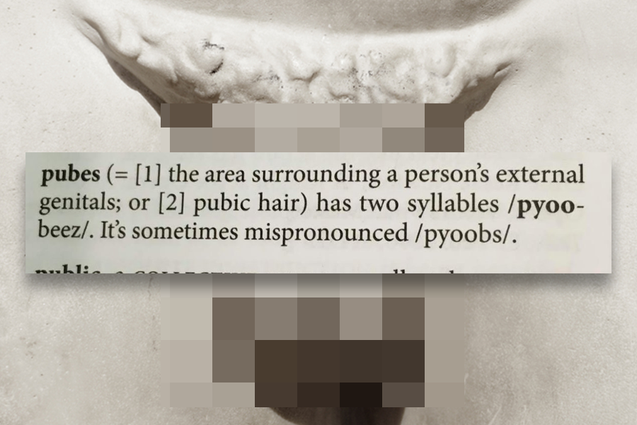You’ve Probably Been Pronouncing ‘Pubes’ Wrong This Whole Time | by ...