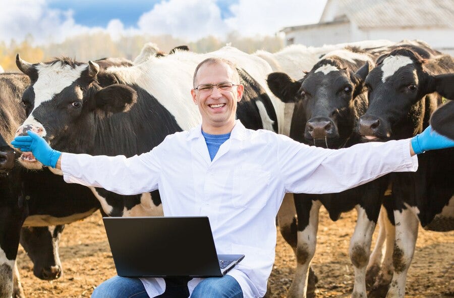 Stress-free Farming: Path to a Happier, Healthier Herd with Cattle Care ...