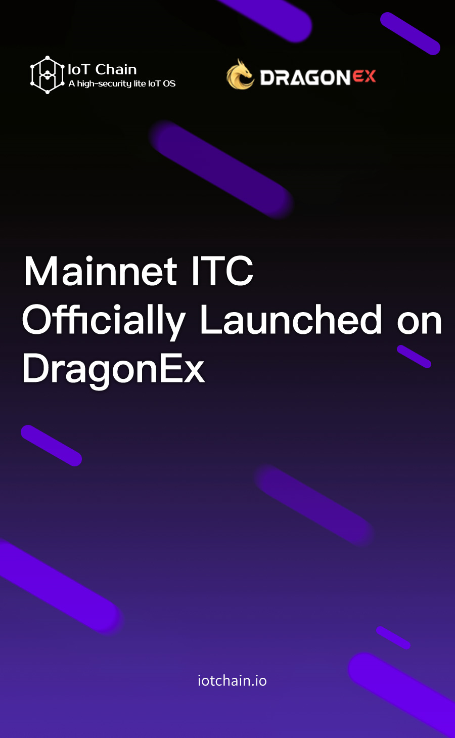 Native ITC officially launched on DragonEx | by IoT Chain | IoT Chain ...
