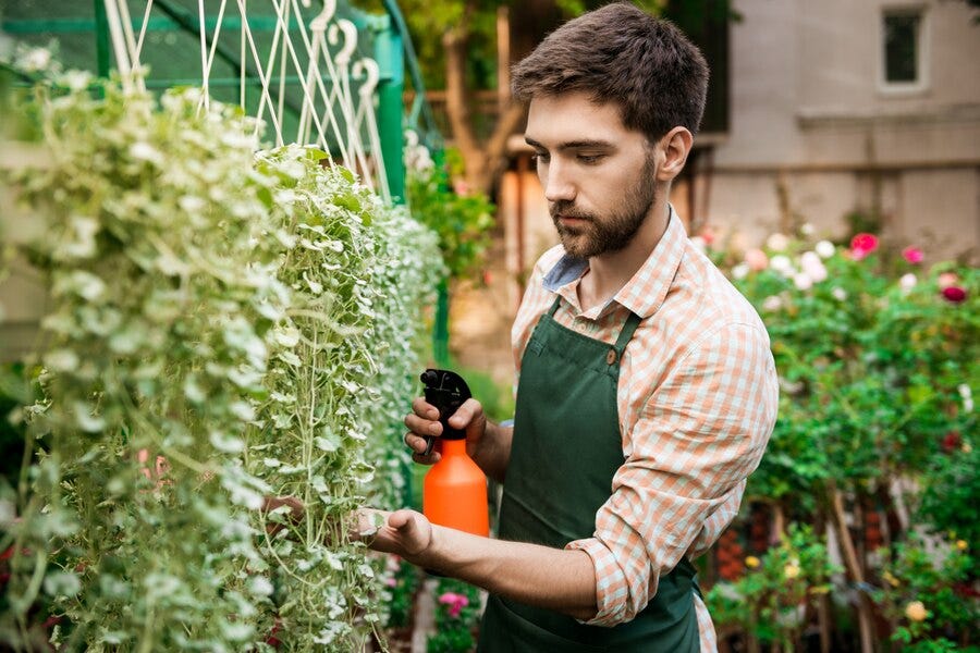 How a Commercial Landscaper Can Transform Your Business Property | by ...