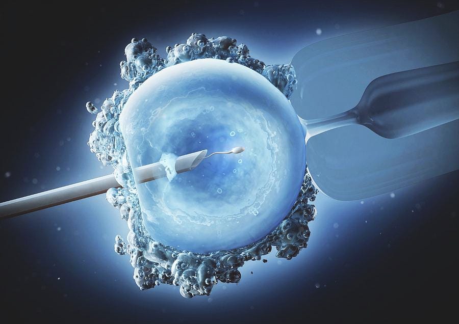 How Successful Are IVF Treatments For Infertility? | by Neelkanth ...
