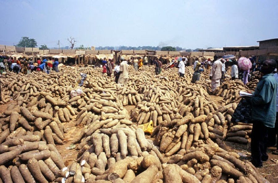 How Much Does it Take to Start Yam Farming | by Olamide Irojah | The ...