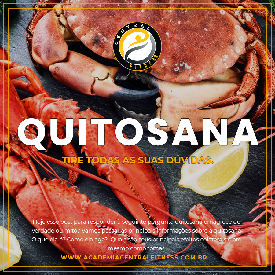 TUDO SOBRE A QUITOSANA. [TUDO REVELADO] | by Central Fitness | Medium