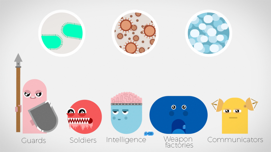 Immunological System — the private army inside your body | by Max ...