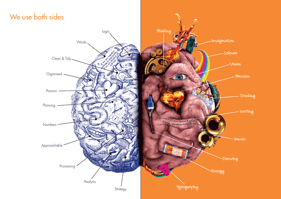 The Left Brain, Right Brain myth. Probably one of the longest fallacy ...