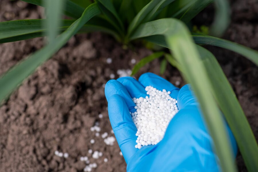 12–61–0 Gel Fertilizer: An Insight into Their Benefits | by Emma Jones ...