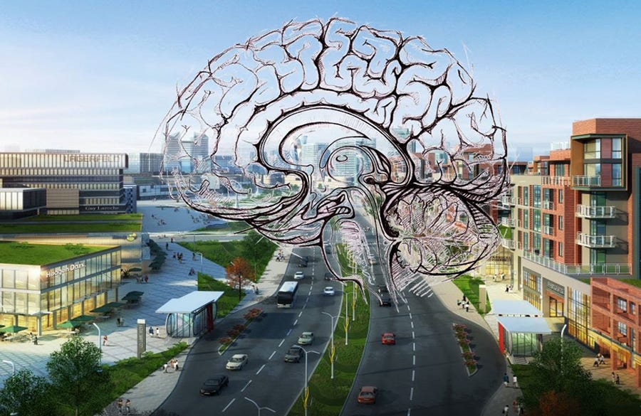 How to better understand spaces through the study of neuroarchitecture ...