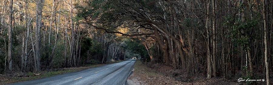 I wrote an essay today about how I don’t really want a New Year this year | by Susi Lawson | Jan ...