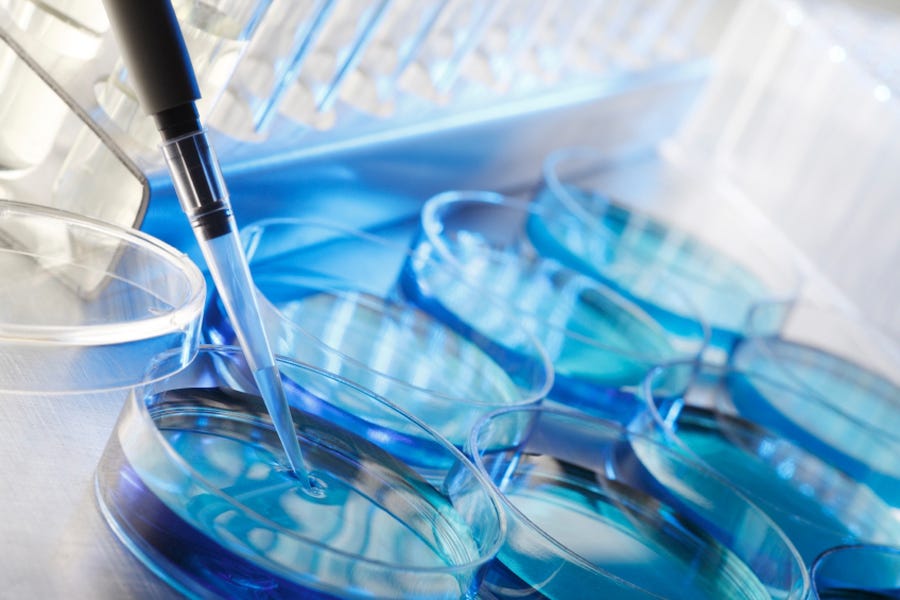 Transforming the Treatment of End-Stage Organ Failure | by New Organ ...
