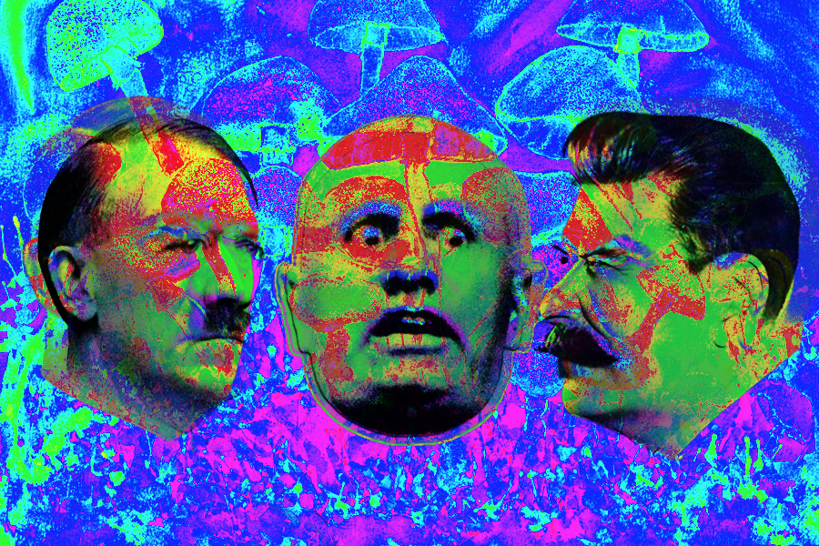Could Alt-Right Assholes Be Fixed By Feeding Them Shrooms? | by Tierney ...