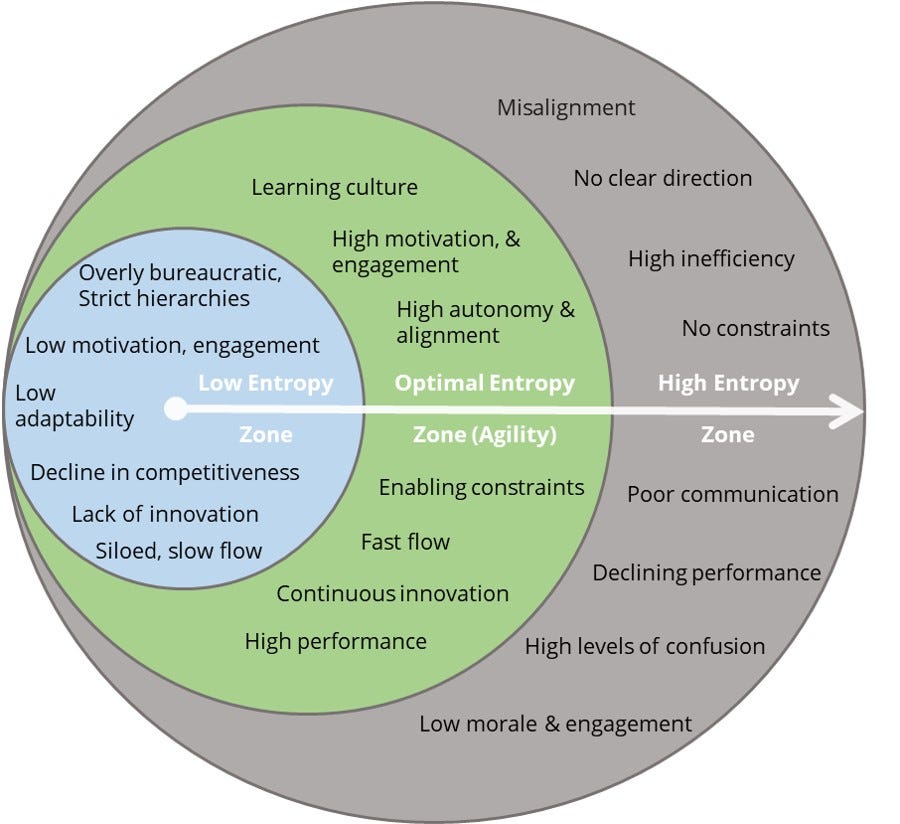 Navigating Organisational Entropy: Finding the Balance for High ...