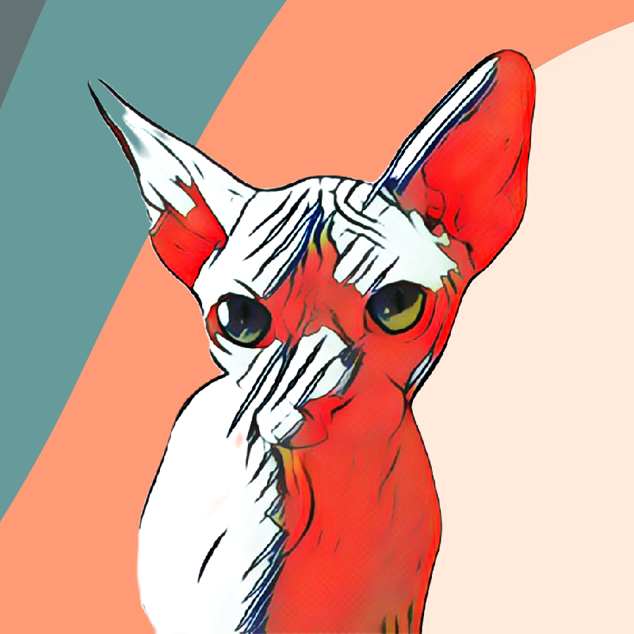 NFT Reveal #11/20: Vintage. The last NFT of the Normal rarity tier… | by Bizarrebra | Medium