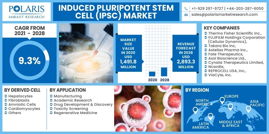 Induced Pluripotent Stem Cell (iPSC) Market Information, Figures, and ...