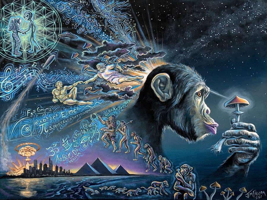 “Creation or Chance? Delving into the Origins of Humanity” | by Ryanne ...