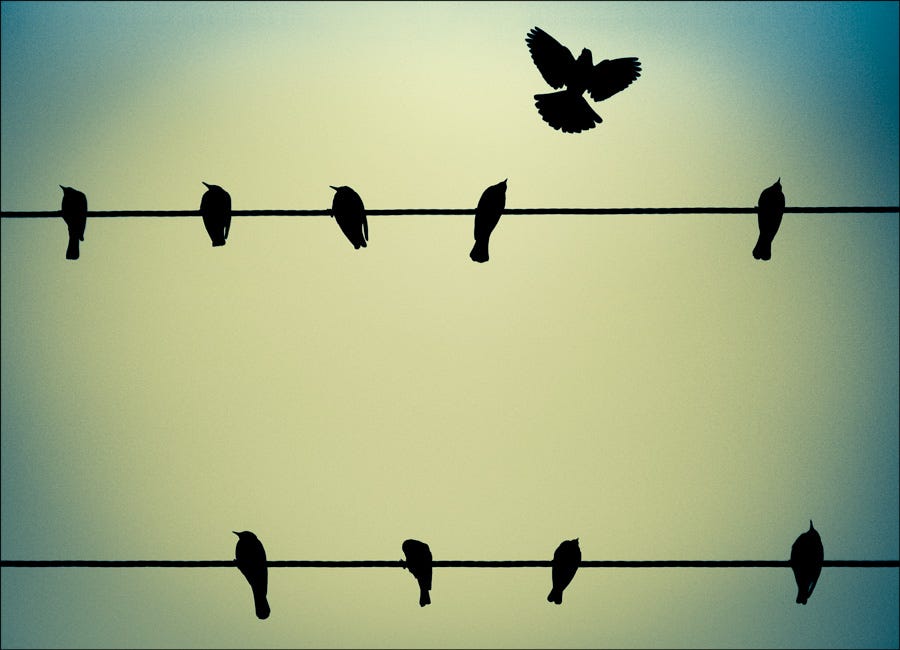 BREAK FREE!!!. Life has become a mundane routine! Many… | by The Indian ...