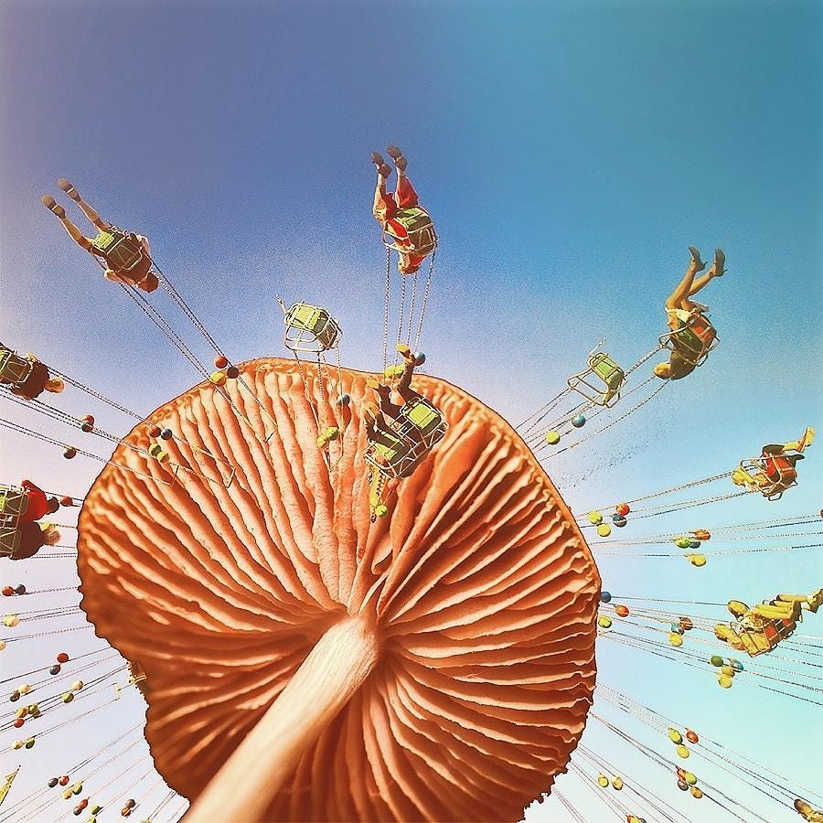 When classic meets trends. Dan Cretu is a conceptual artist from… | by ...