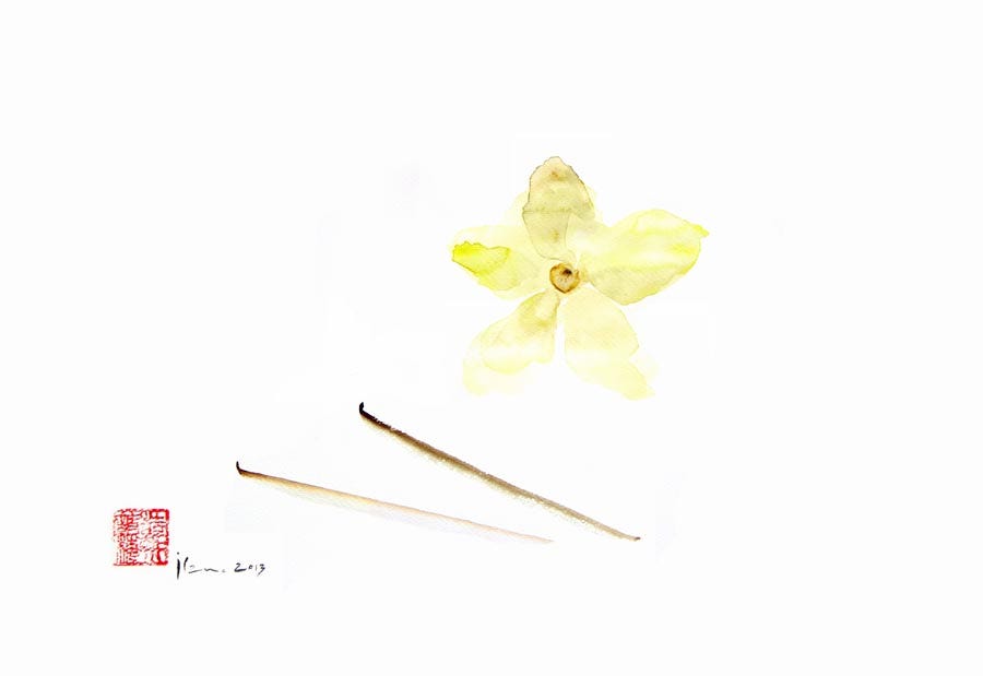 Vanilla. Fiction By Tabatha Jenkins | by Goat | Scene & Heard (SNH ...