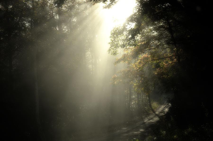 The Light Always Finds A Way Through The Darkness | by Corey Tibble ...