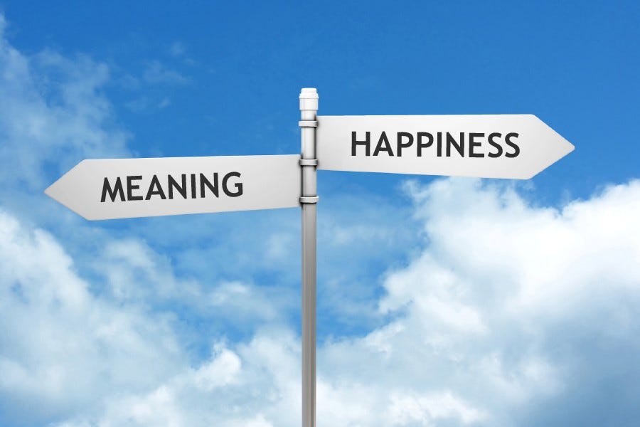 Happiness vs. Meaning. Happiness vs. Meaning: Do You have to… | by Dr ...