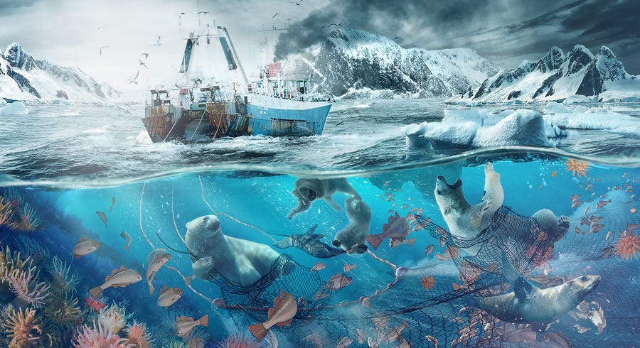 EMPTY OCEAN 2048. 以目前人類對海洋生態的破壞和濫獲速度下，2048的海洋只剩塑膠生物。 | by Nisa Yeh | Medium
