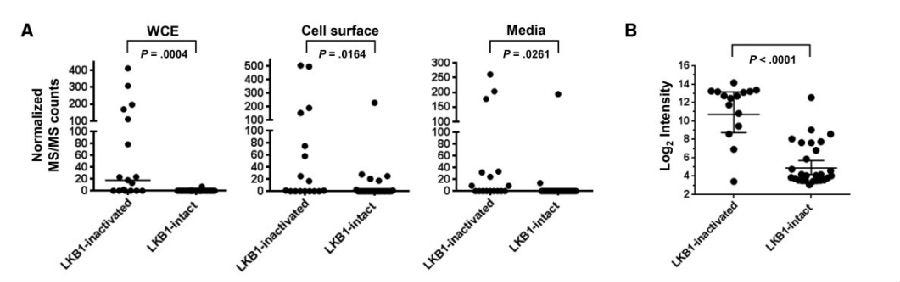 Function and Mechanism of Combined Analysis of CPS1 by Proteomics and ...