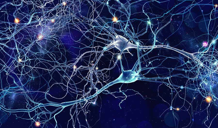 CNN to classify Brain MRI Scans into Dementia Stages in Python | by ...