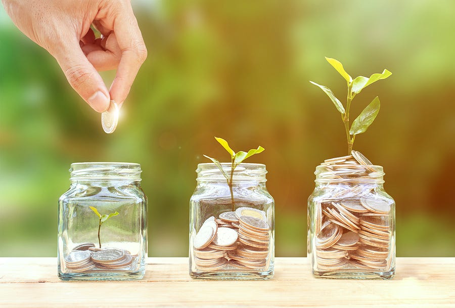 Consistency Leads To Compounding. When I look at the plants here in ...
