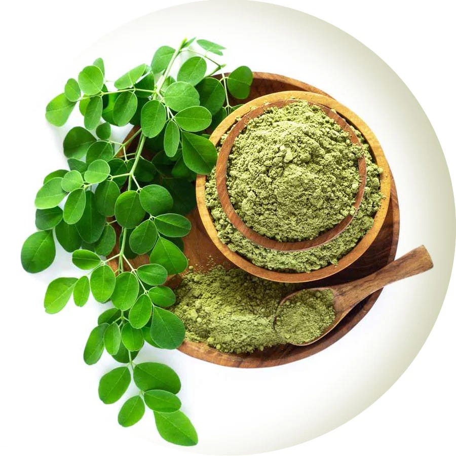 A Single Solution for Multiple Problems — Moringa Capsules | by ...