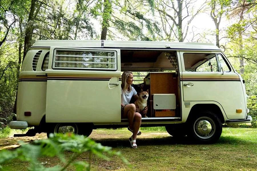 Embark on a journey like no other with **Paul Camper**, Premier ...