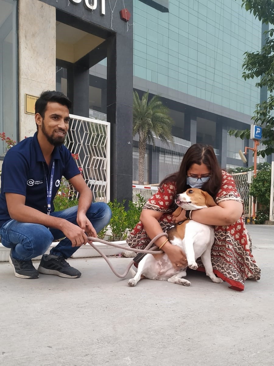 Domestic Pet Relocation India - Akshitak - Medium