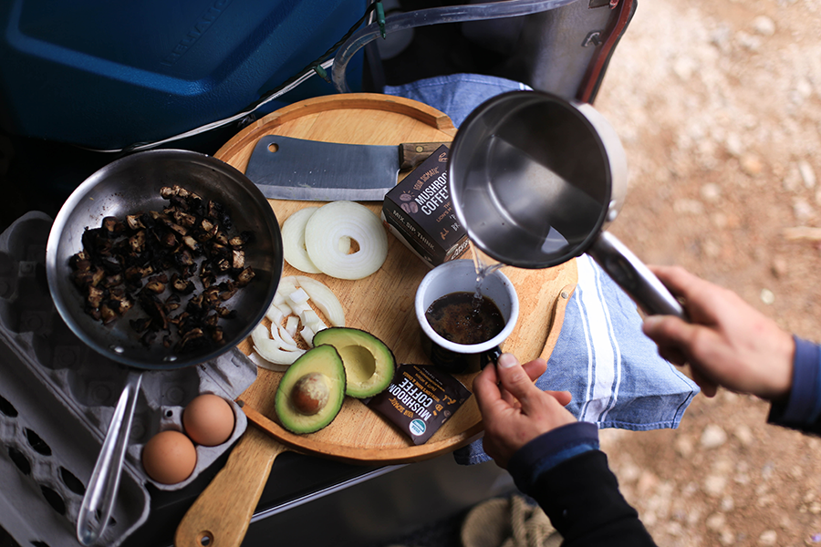 What the F*** Are ‘Adaptogens’? A Mushroom Tonic Challenge | by Tierney ...