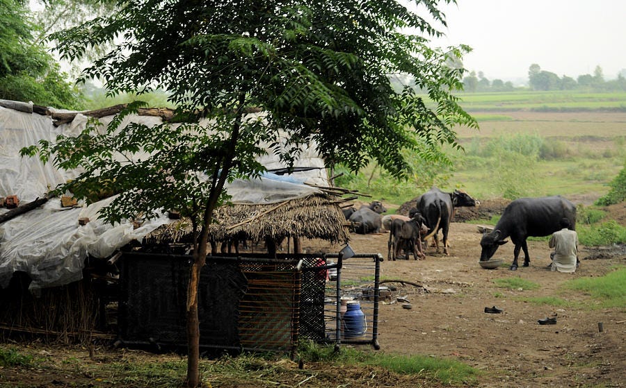 INDIAN VILLAGE LIFE. The life of Indian Village is a… | by Our blog ...